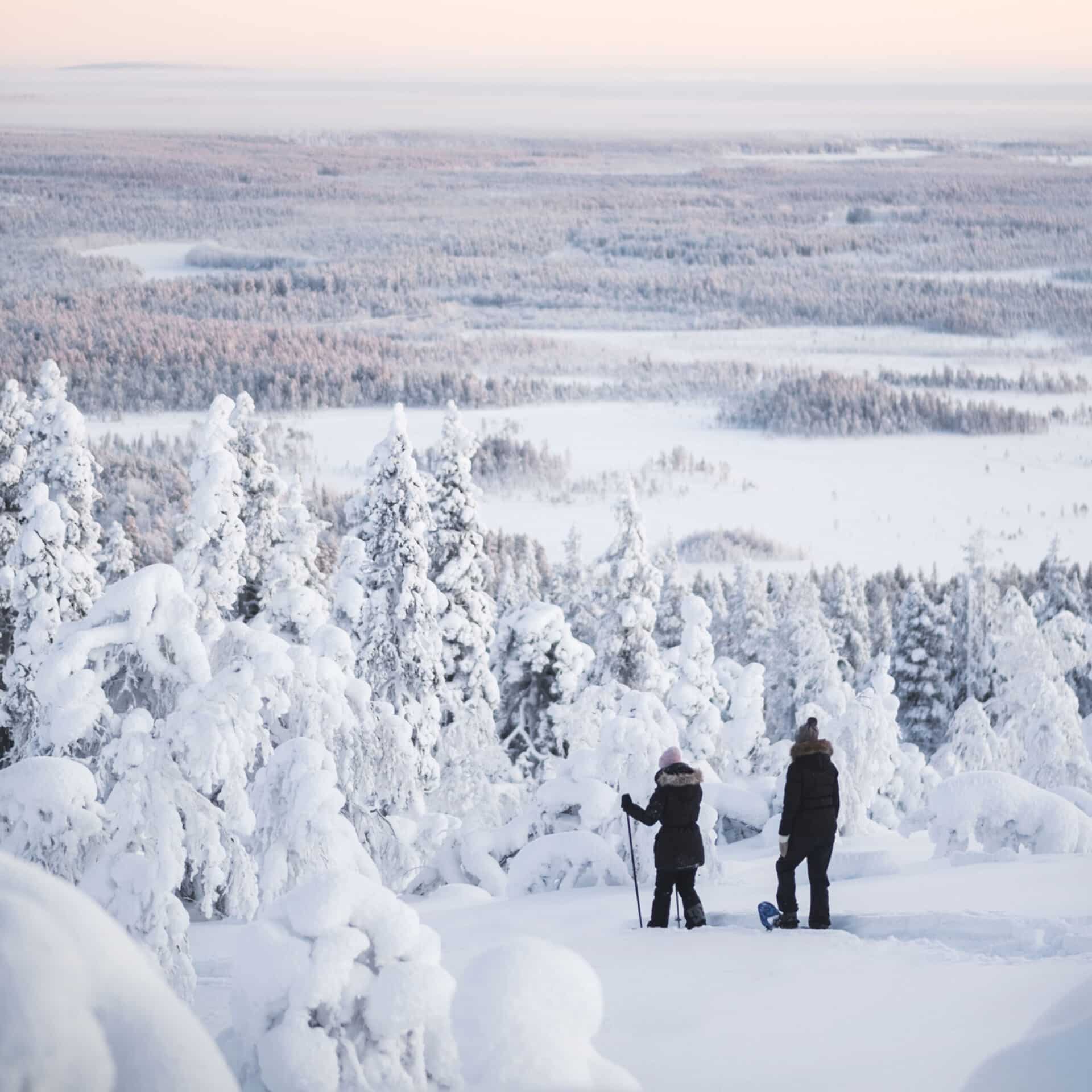Winter in Lapland – Snow & Northern Lights - Levin Iglut